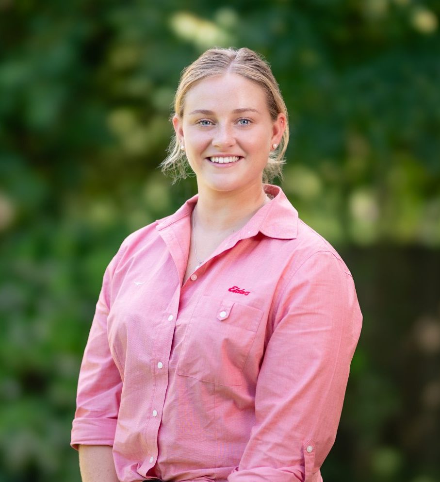 Penny Haynes, Sales Support | Elders Emms Mooney